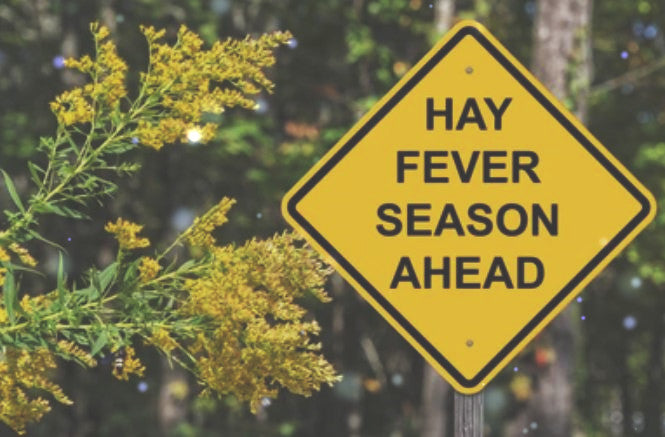 Tips to Prevent or Reduce the Risk of Hay Fever in Australia – SPOIL ME ...